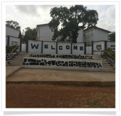 The MGHS